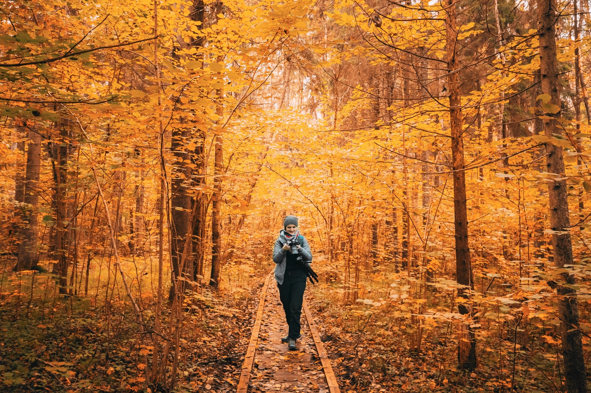 Learn Photography: Photography Resources and Starter Equipment ...