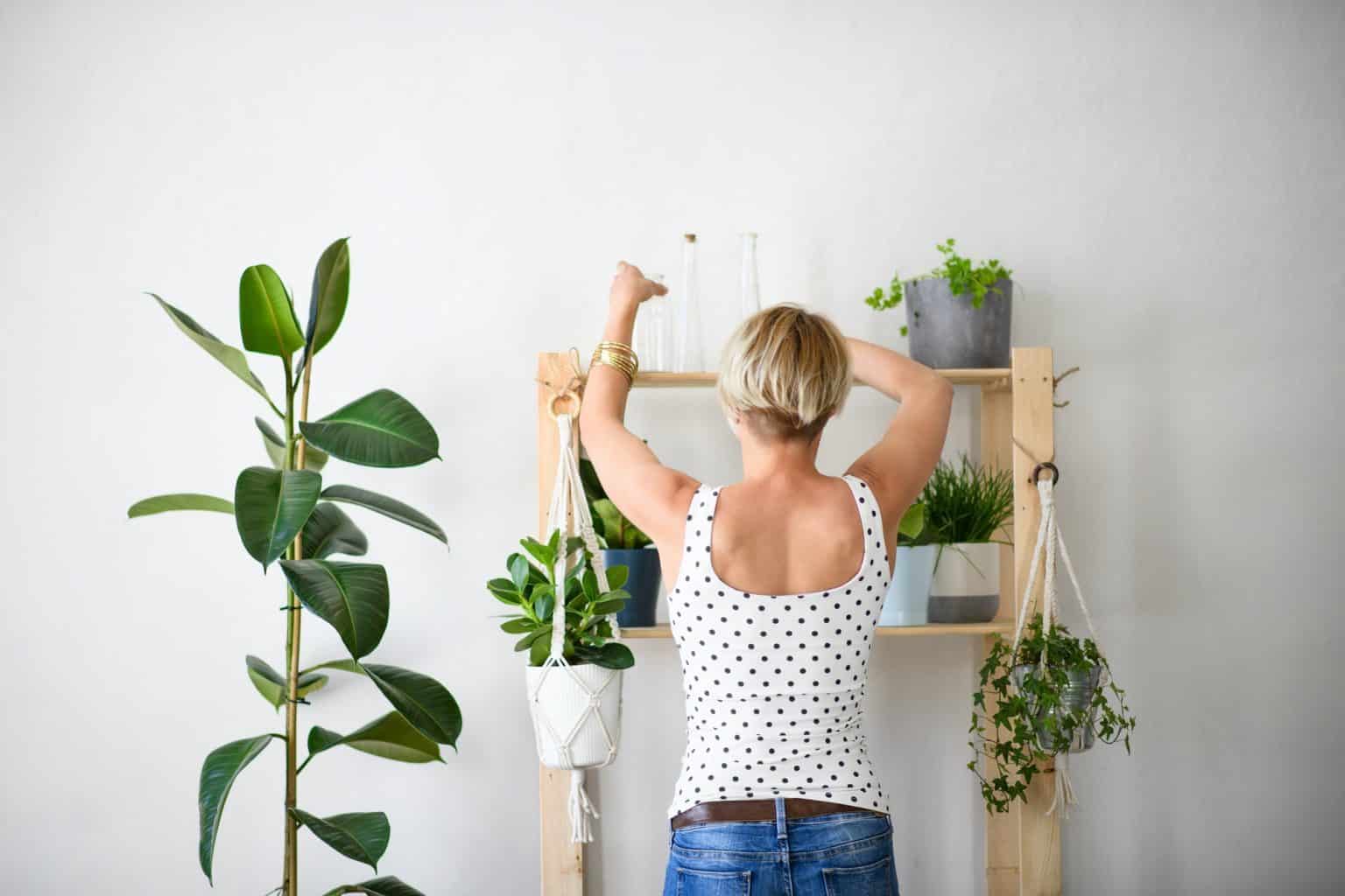 Indoor Gardening Supplies: Start Your Indoor Garden - Hobbies To Start