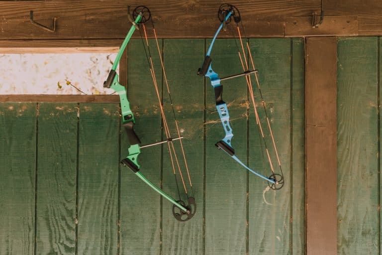 Different Types of Archery: Step #1 to the introduction to archery